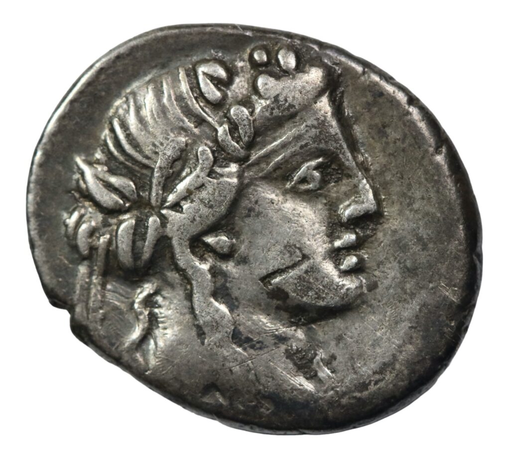 Roman Republic, Denarius, Biga of Snakes 78 BC. Sold ...