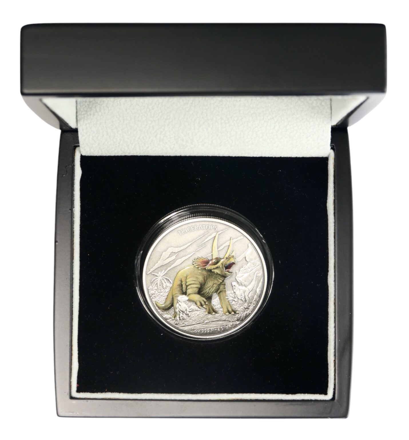 2020 Dinosaurs - Triceratops. Sold. - colonialcollectables buying and ...